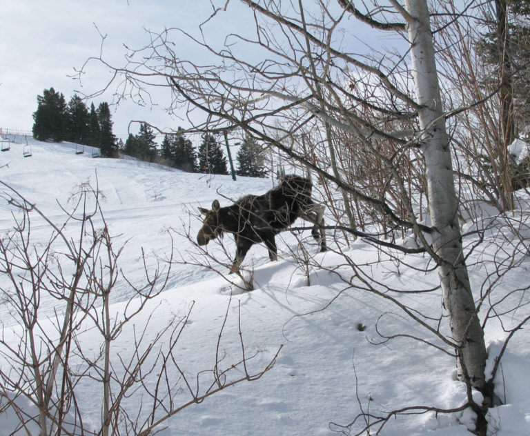 Wasatch Peaks Ranch Utah